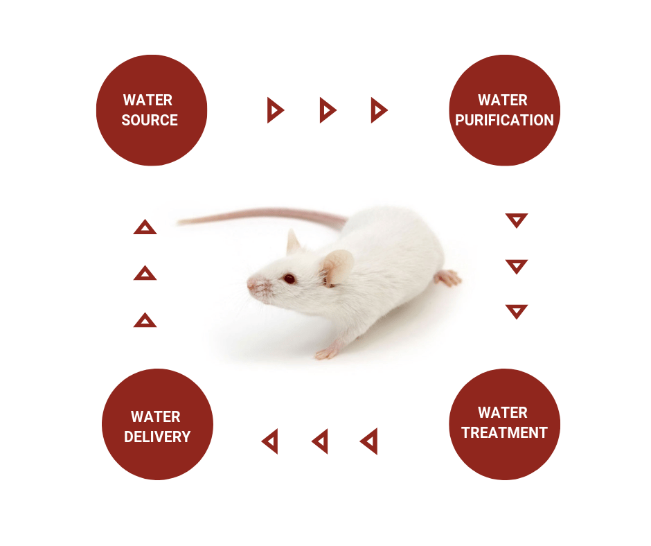 Lab Animal Watering System Design